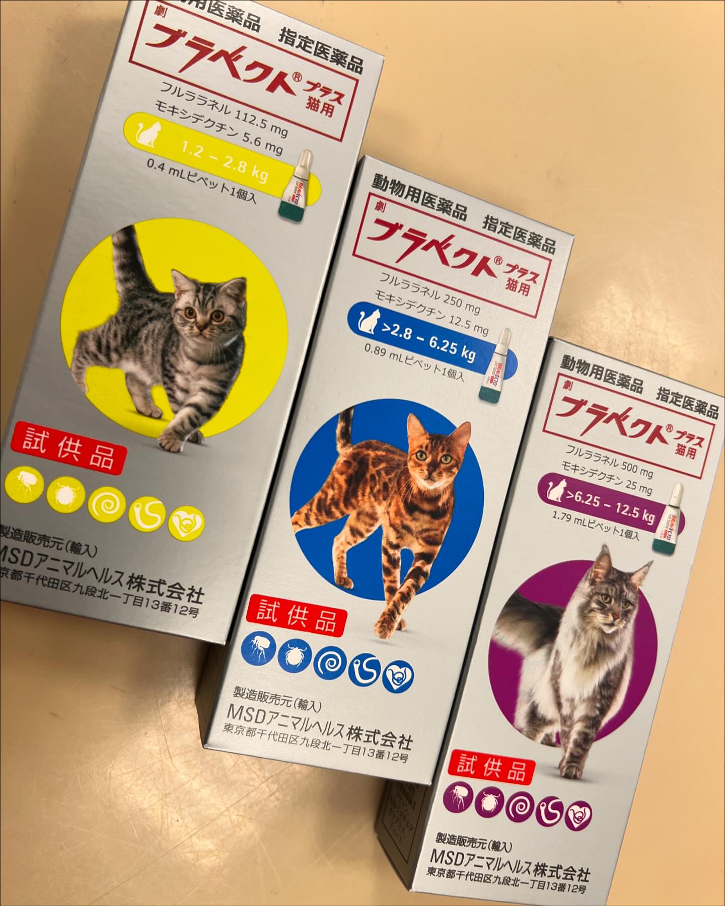 サンプル無料配布中です！ | SnapWidget