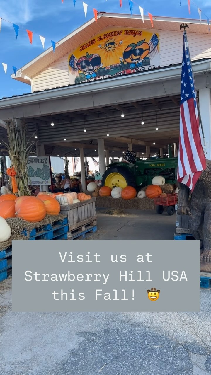 It’s Pumpkin Season, Y’all! | SnapWidget