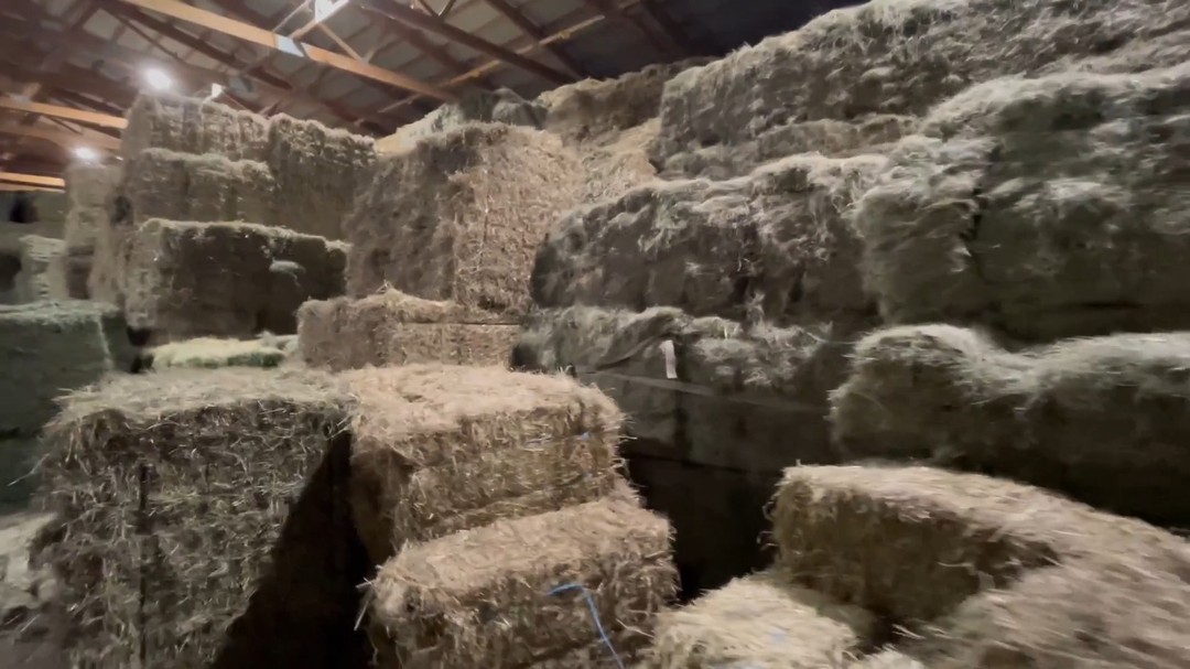 DID YOU KNOW? - we have 5 different varieties of hay in 3 different ...