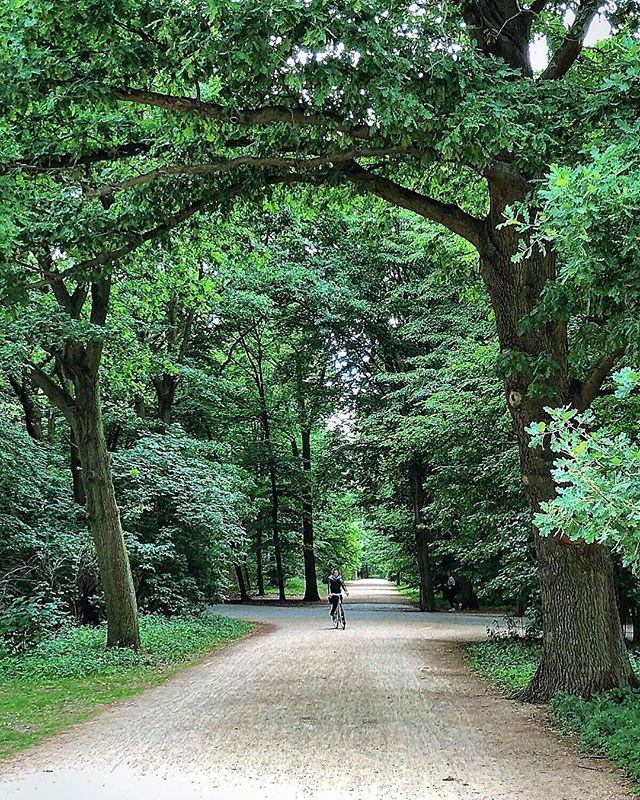 Re loading greenpark breathe igerspain walkaway somewhere Re loading greenpark breathe igerspain walkaway somewhere