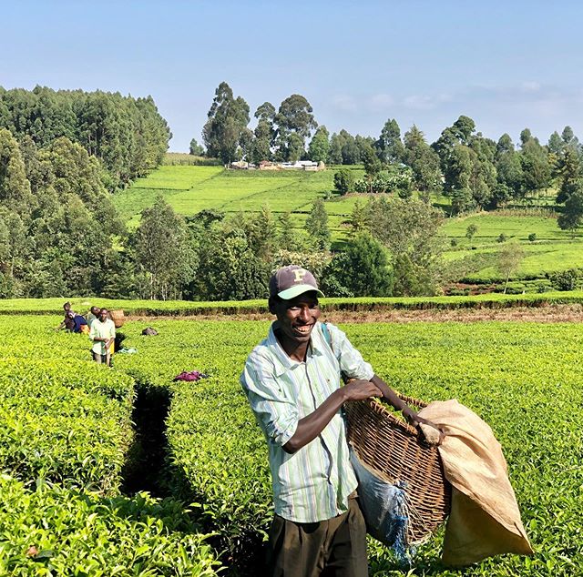 I hated growing up on the farm in Njoro, but the turn of events in my ...
