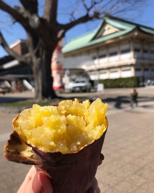 本日のおさんじ ・ 岡崎に来ています。 愛知県ではなく、京都市の、ですよ。 ゆったりしていてのんびりできる場所です。 ・ 街中でたまに見かけて ...